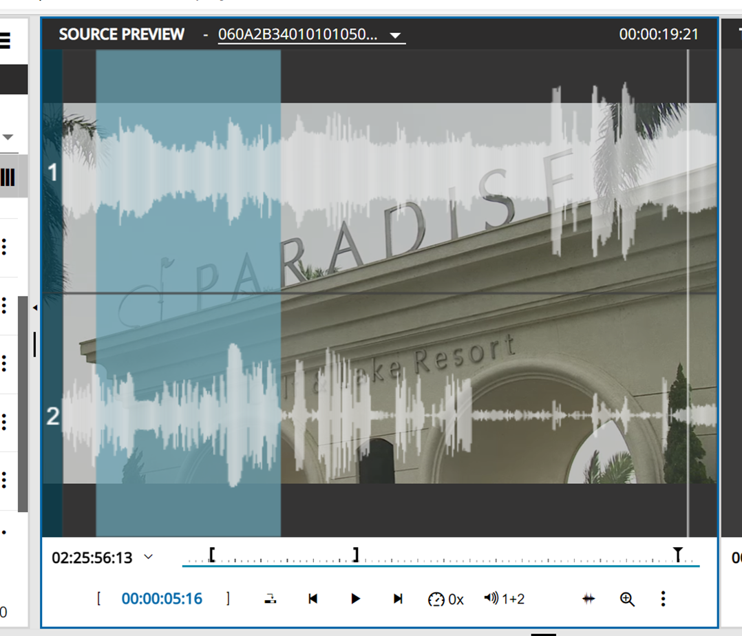 Waveform View